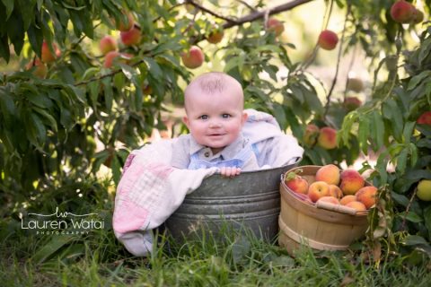 Photo Ops - Graham's U-Pick Farms
